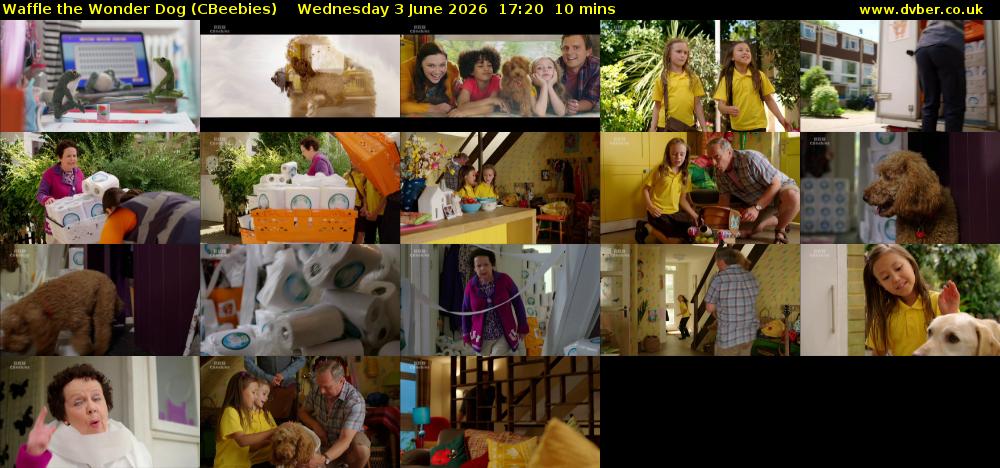 Waffle the Wonder Dog (CBeebies) - 2026-06-03-1720