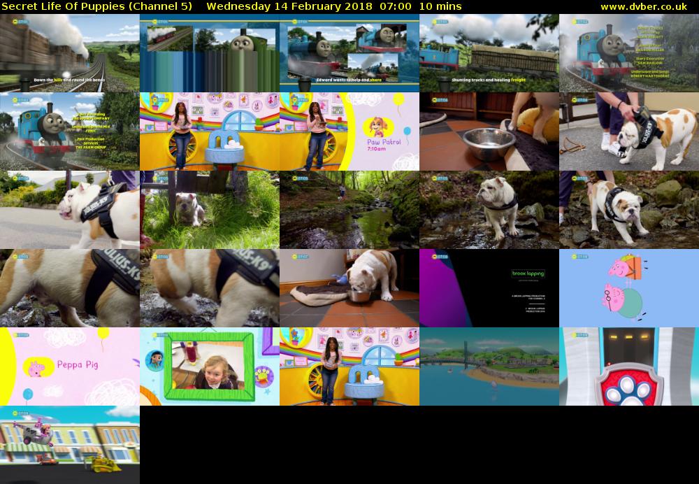 Secret Life Of Puppies (Channel 5 HD) - 2018-02-14-0700