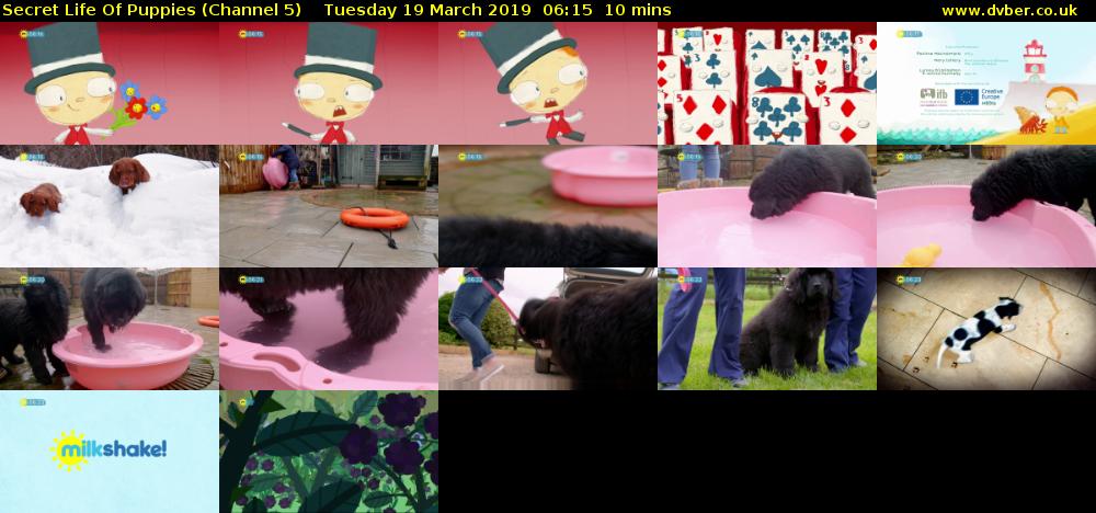 Secret Life Of Puppies (Channel 5 HD) - 2019-03-19-0615