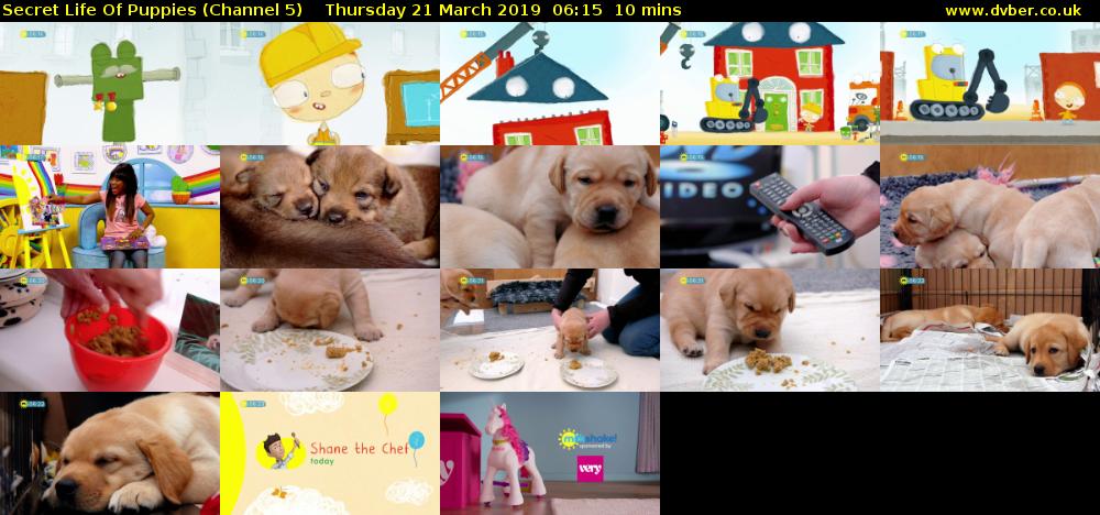 Secret Life Of Puppies (Channel 5 HD) - 2019-03-21-0615