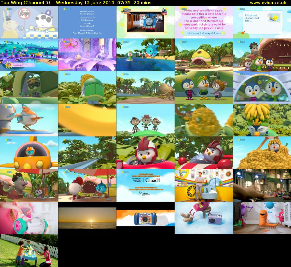 Top Wing (Channel 5) - 2019-06-12-0735