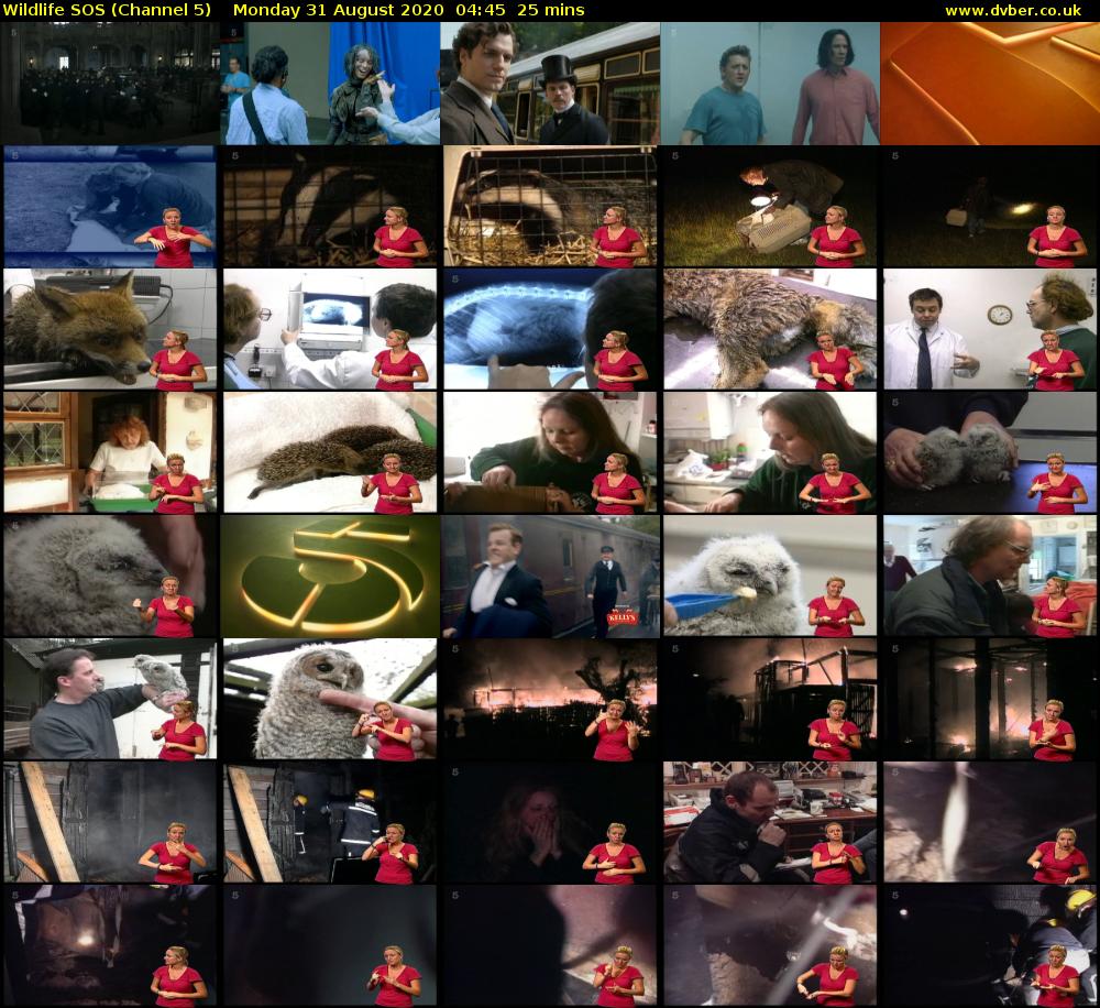 Wildlife SOS (Channel 5) - 2020-08-31-0445
