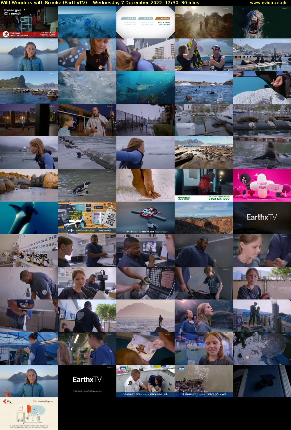 Wild Wonders with Brooke (EarthxTV) - 2022-12-07-1230