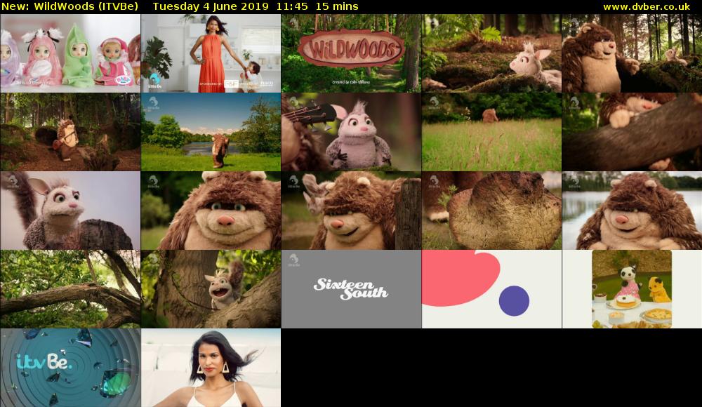 WildWoods (ITVBe) - 2019-06-04-1145