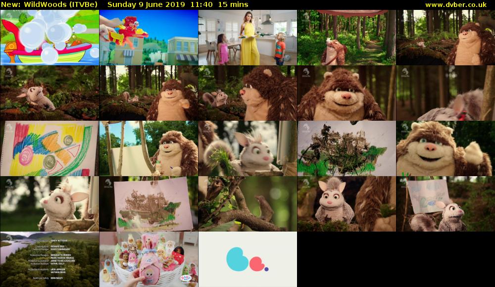 WildWoods (ITVBe) - 2019-06-09-1140