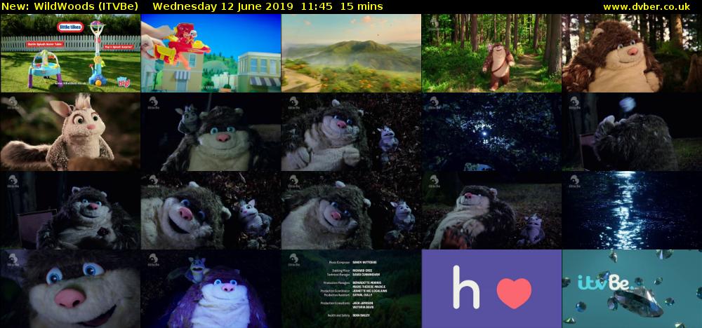 WildWoods (ITVBe) - 2019-06-12-1145