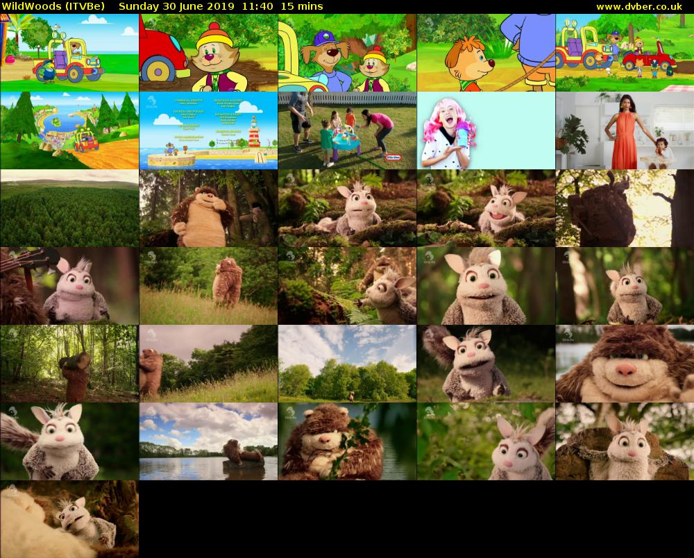 WildWoods (ITVBe) - 2019-06-30-1140
