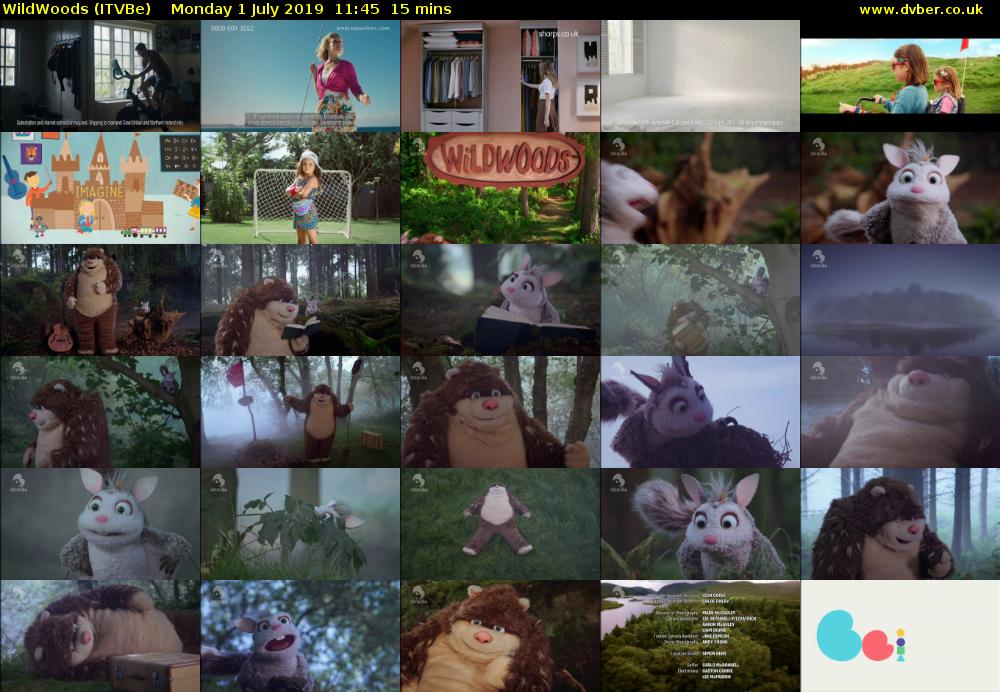 WildWoods (ITVBe) - 2019-07-01-1145