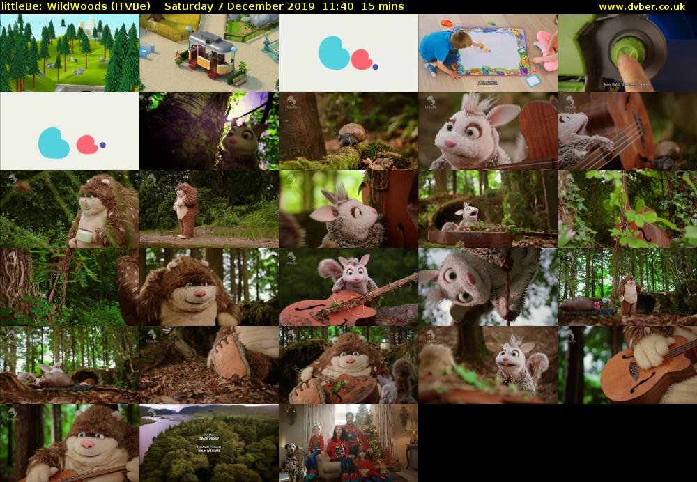 littleBe: WildWoods (ITVBe) - 2019-12-07-1140