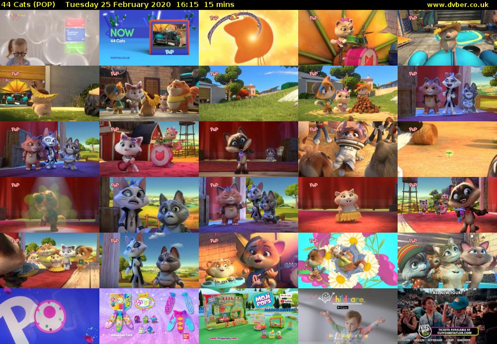 44 Cats (POP) - 2020-02-25-1615