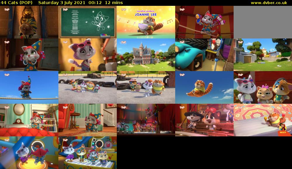 44 Cats (POP) - 2021-07-03-0012