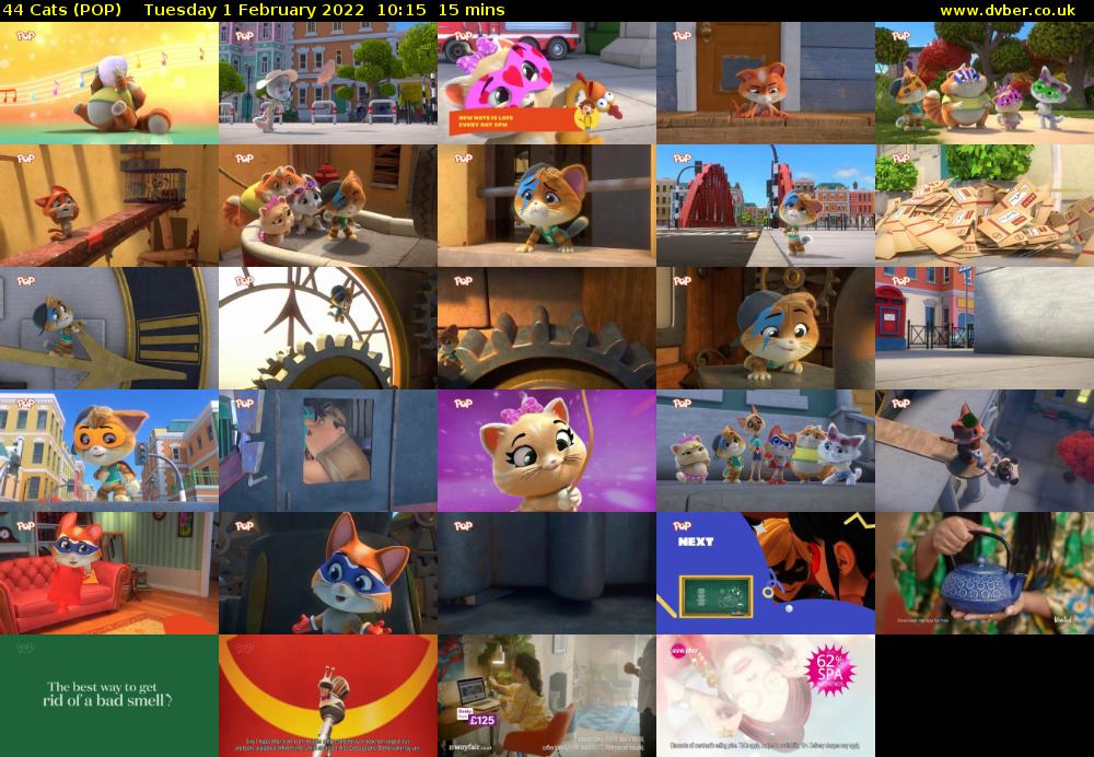 44 Cats (POP) - 2022-02-01-1015