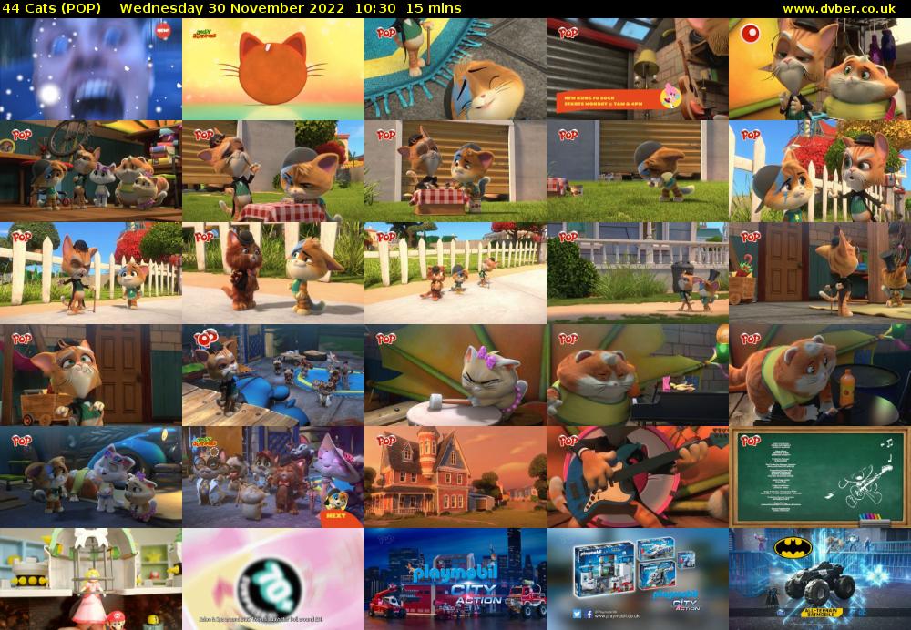 44 Cats (POP) - 2022-11-30-1030