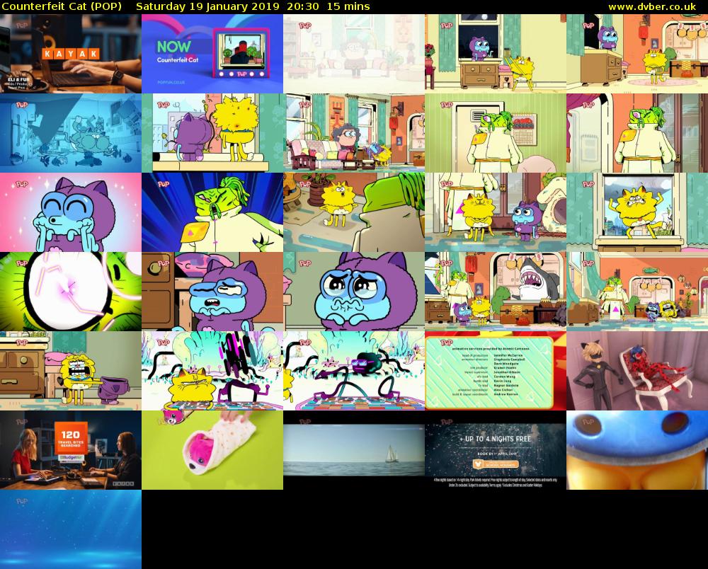 Counterfeit Cat (POP) - 2019-01-19-2030