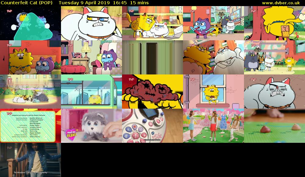 Counterfeit Cat (POP) - 2019-04-09-1645