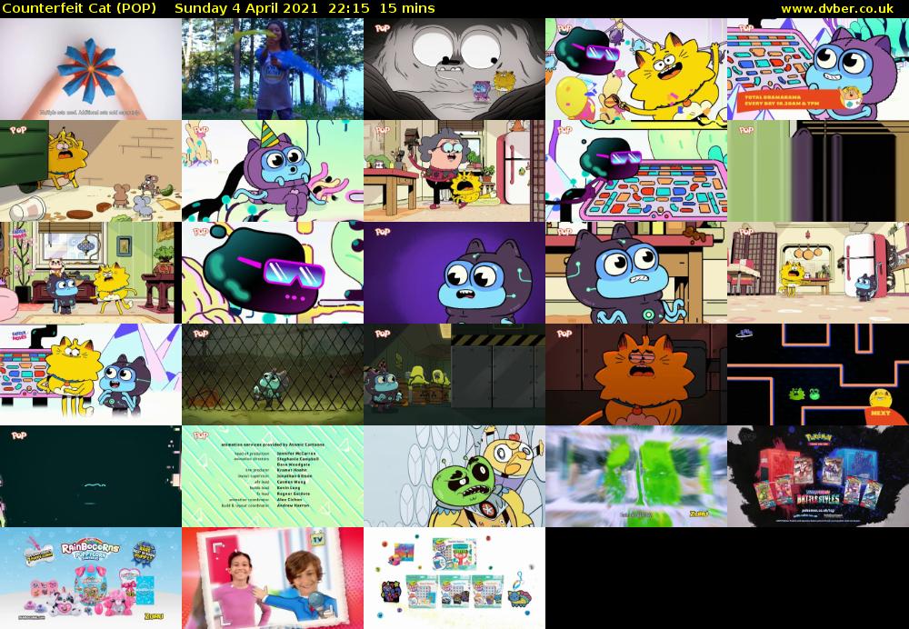 Counterfeit Cat (POP) - 2021-04-04-2215