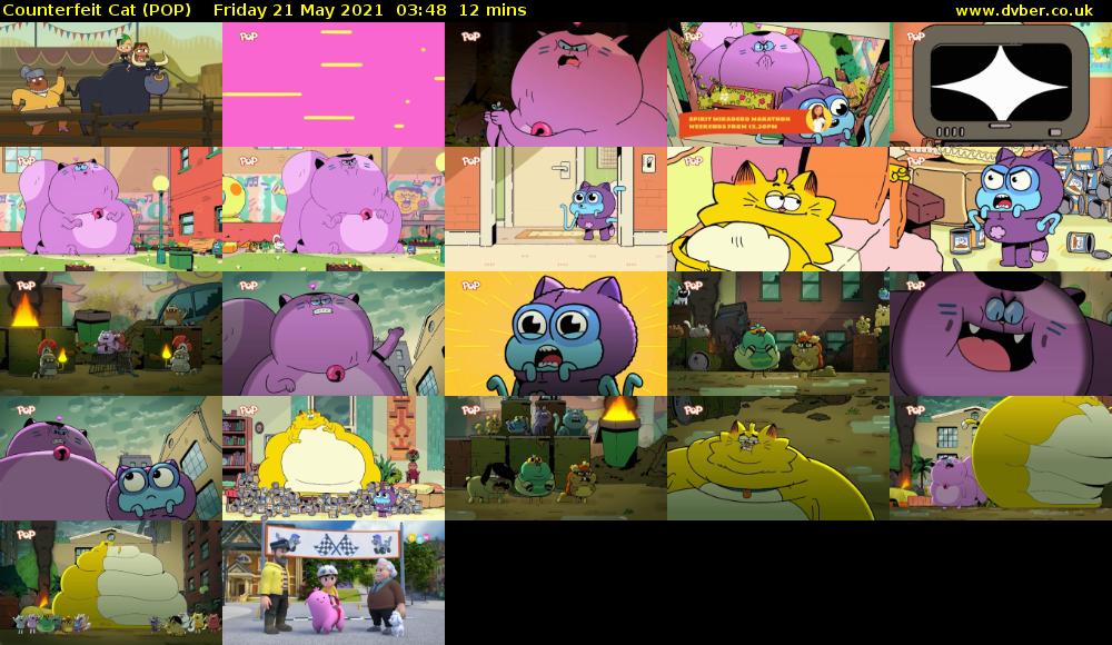 Counterfeit Cat (POP) - 2021-05-21-0348