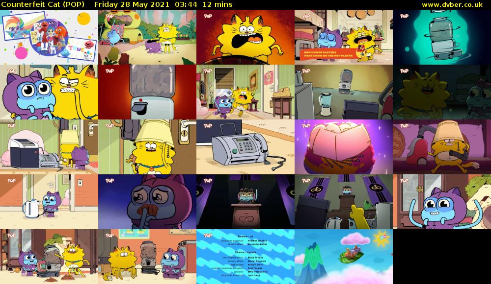 Counterfeit Cat (POP) - 2021-05-28-0344