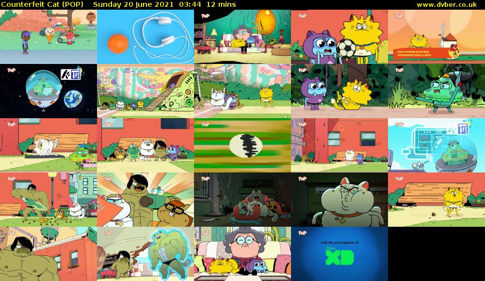 Counterfeit Cat (POP) - 2021-06-20-0344