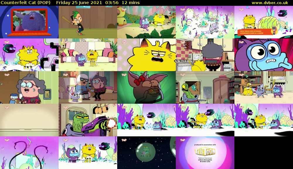 Counterfeit Cat (POP) - 2021-06-25-0356