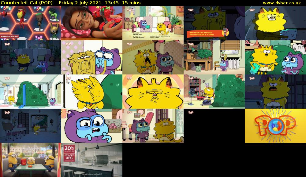 Counterfeit Cat (POP) - 2021-07-02-1345