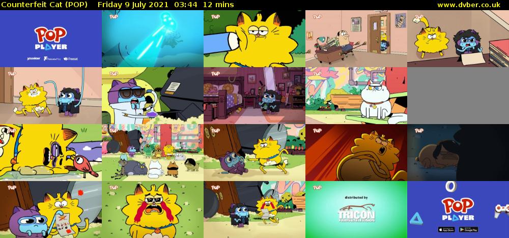 Counterfeit Cat (POP) - 2021-07-09-0344